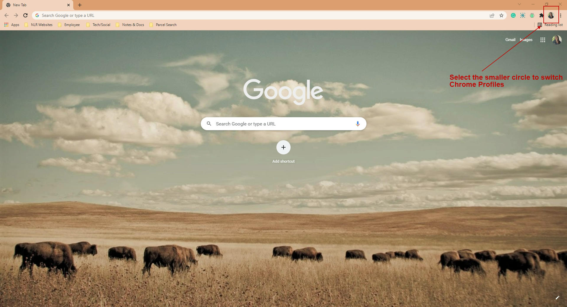 How Do I Add And Switch Between Email Profiles In Chrome NLR Guide how-do-i-add-and-switch-between-email-profiles-in-chrome-nlr-guide